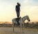Маттиэль - Mattiel (CD, 2018 г.)