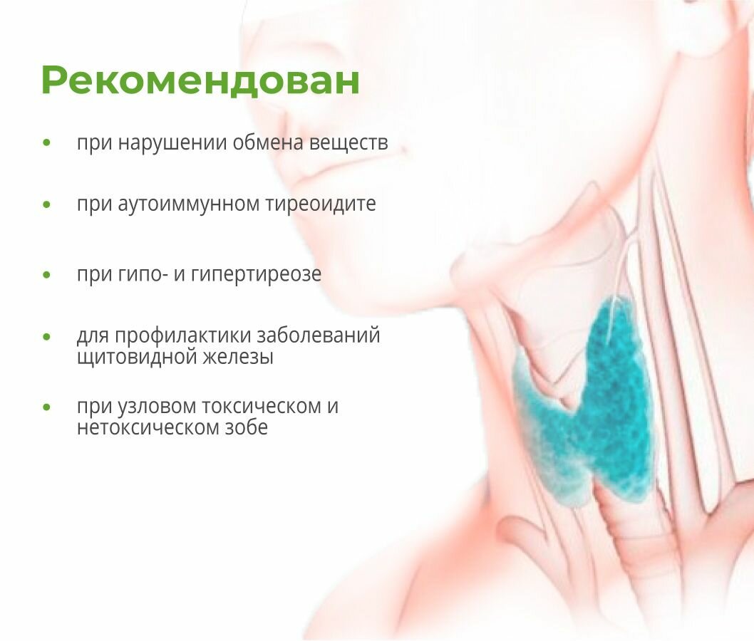 Тиреоген для щитовидной железы (Пептиды Хавинсона), 20 капсул, негормональный препарат для эндокринной системы, при гипотириозе и гипертиреозе, БАД — фото 1