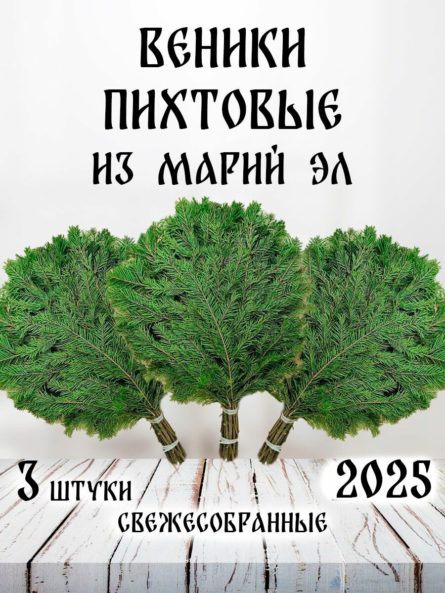 Пихтовые веники для бани из Марий Эл в коробке 3 штуки 2025