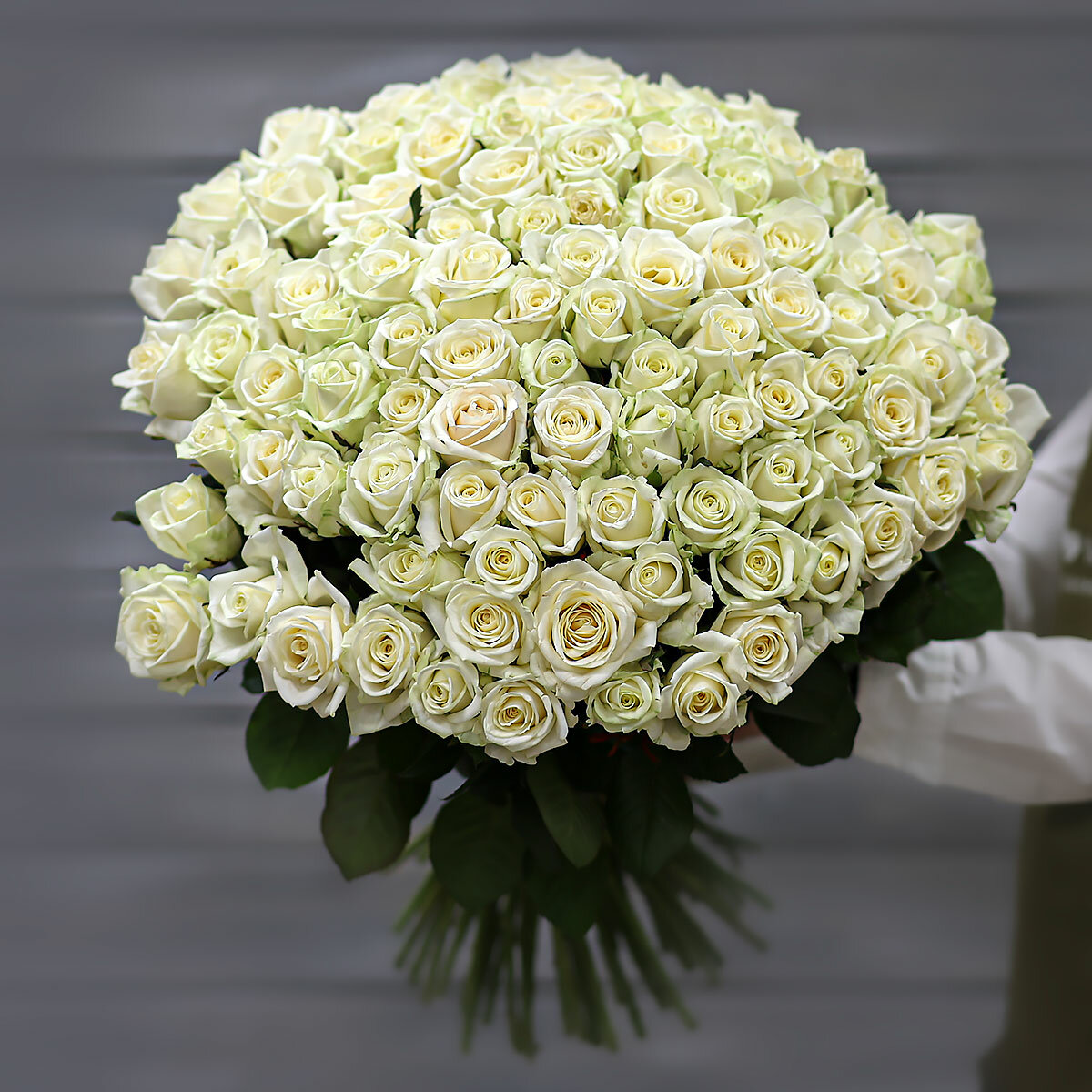 Монобукет "Аваланж", 101 длинная роза, высота 60см, под ленту