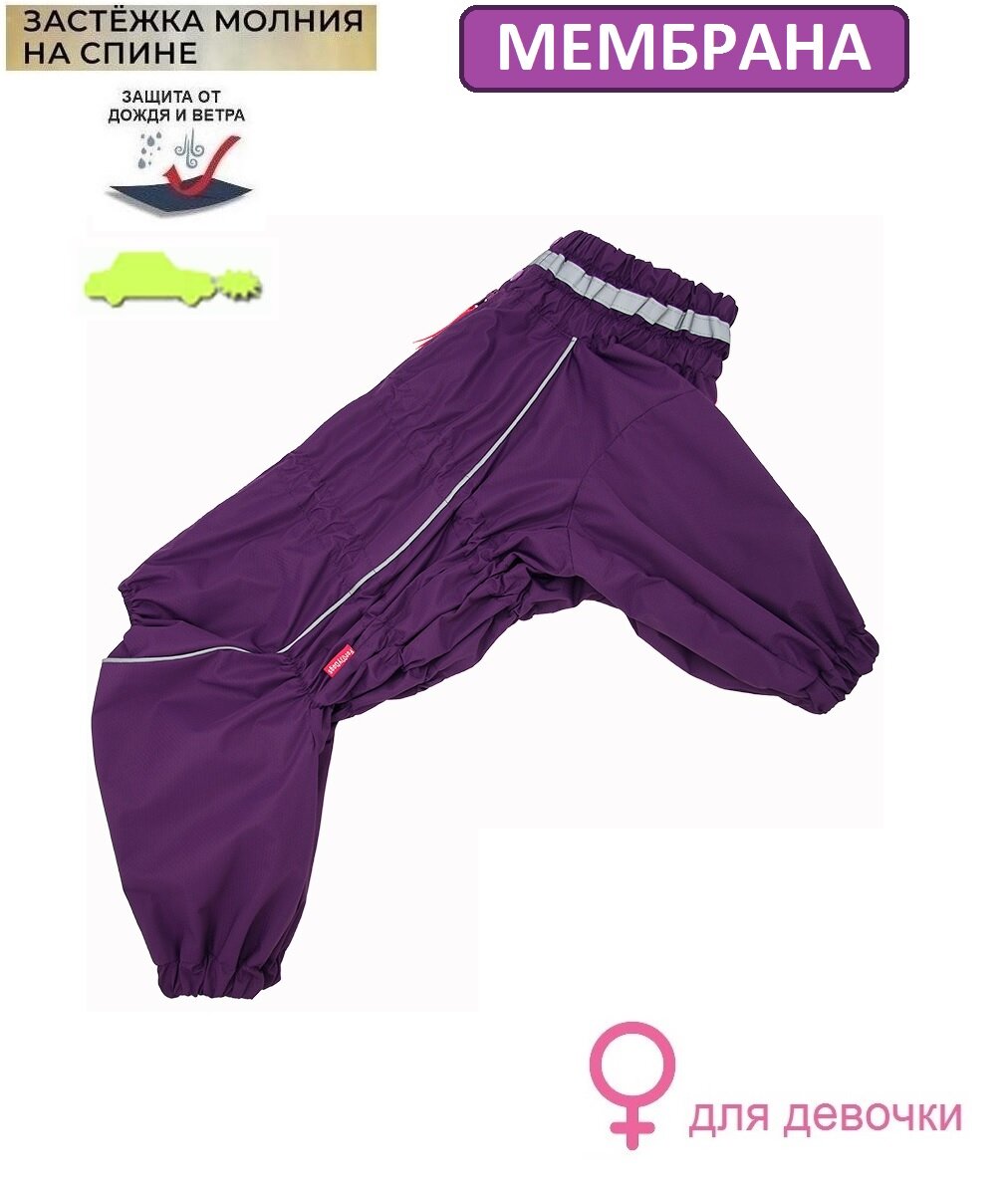 Комбинезон-дождевик для собак из мембранной ткани. Девочка (D1 по спине 70см девочка)