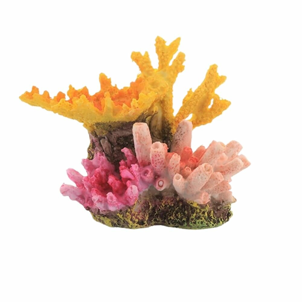 Красочный коралловый риф