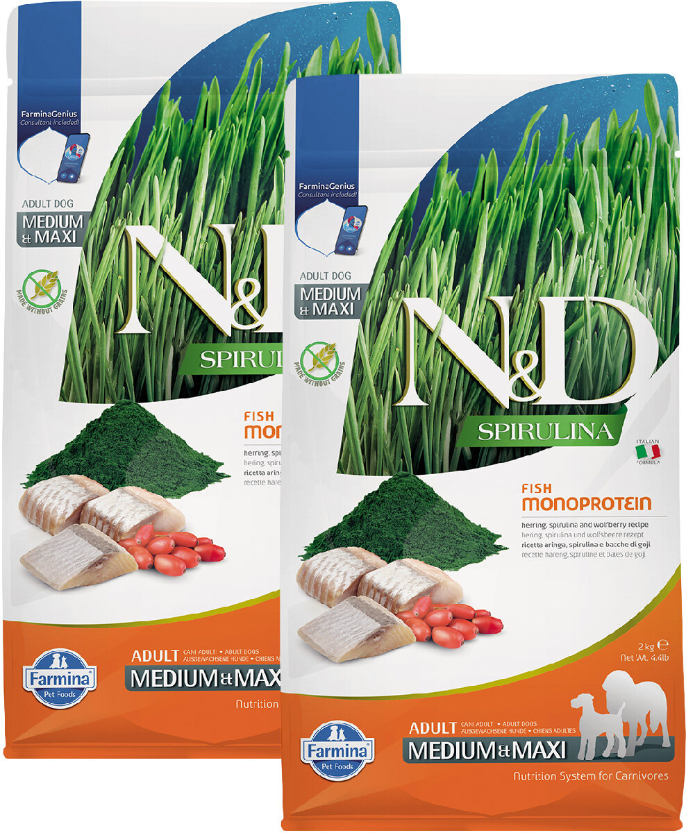 Корм сухой Farmina Dog N&D Grain Free Spirulina Adult Medium & Maxi Herring & Wolfberry беззерновой для взрослых собак средних и крупных пород, сельдь, ягоды годжи и спирулина, 2 + 2 кг