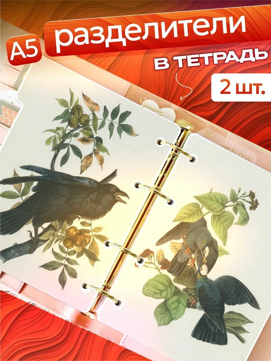 Разделители для тетради на кольцах Птицы