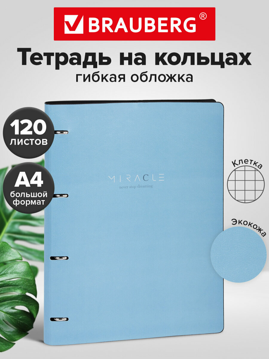 Тетрадь на кольцах со сменным блоком А4 240х310 мм, 120 листов, под кожу Пастельная, Brauberg Vista, 404514