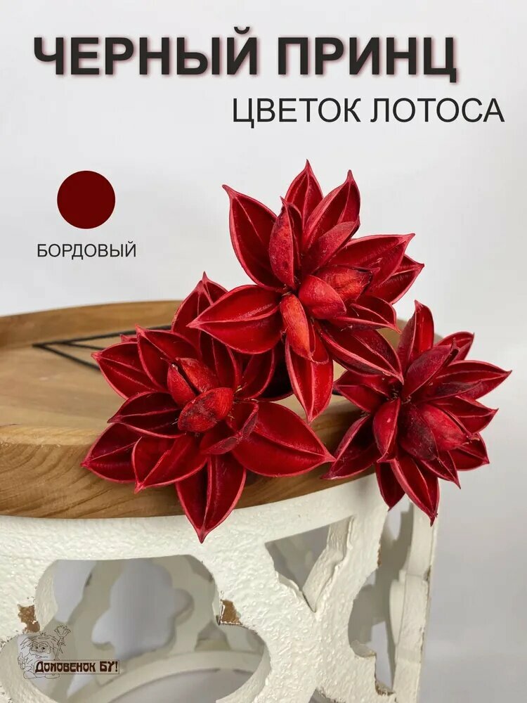 Сухоцветы Сухоцвет, 52 см, 300 гр, 3 шт