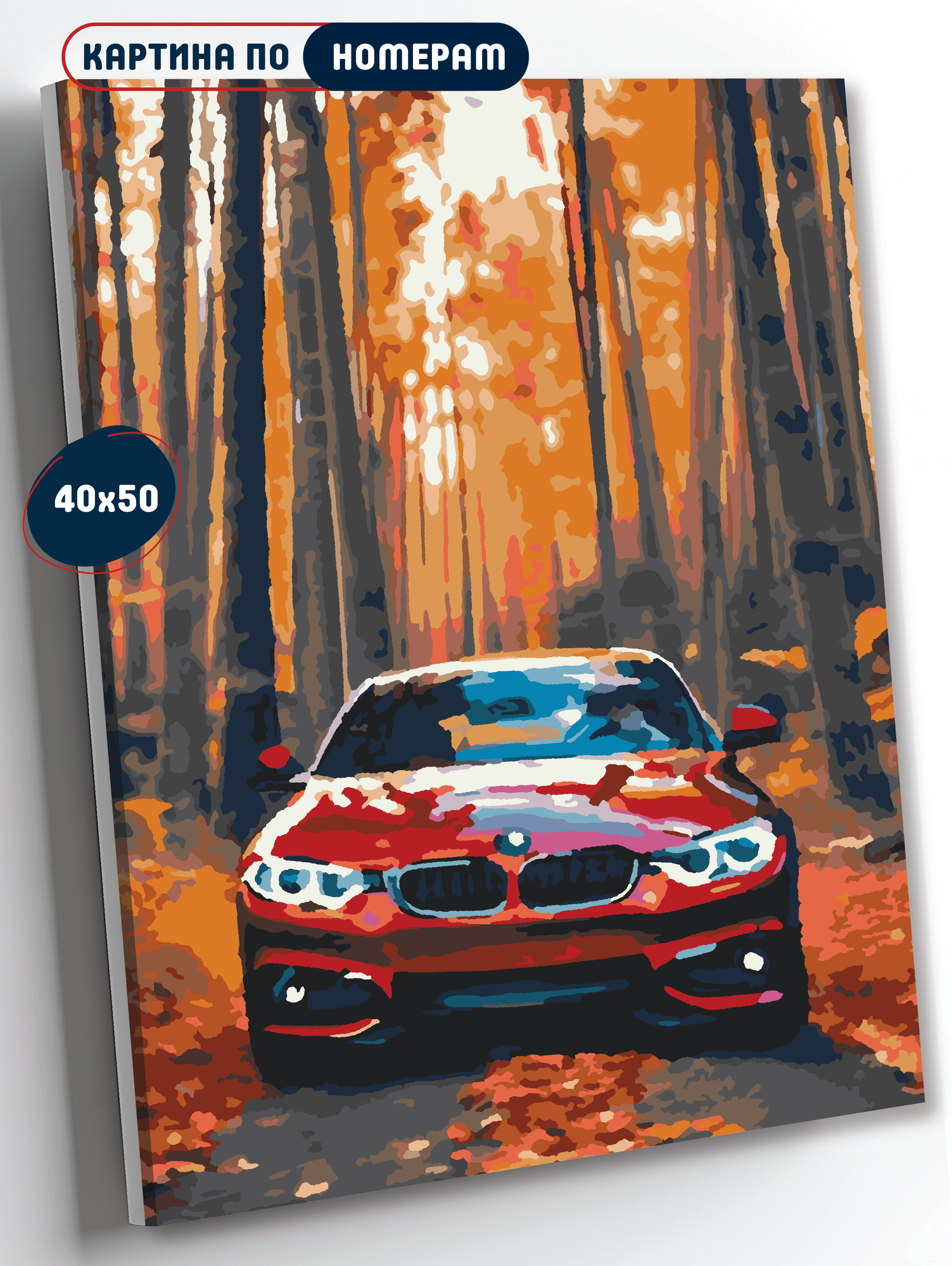 Картина по номерам "BMW", Холст на подрамнике 40х50, набор для рисования, с машиной