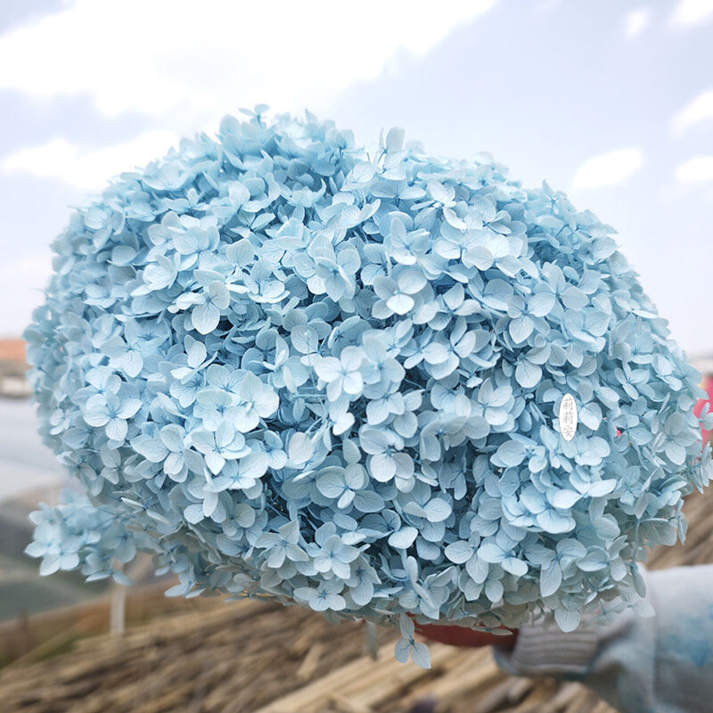 Вечная гортензия Анна, маленькие листья, цветное поглощение, отбеленный DIY цветочный материал, настоящий цветок, фабрика Юньнань, в наличии, оптовая продажа, сухой цветок