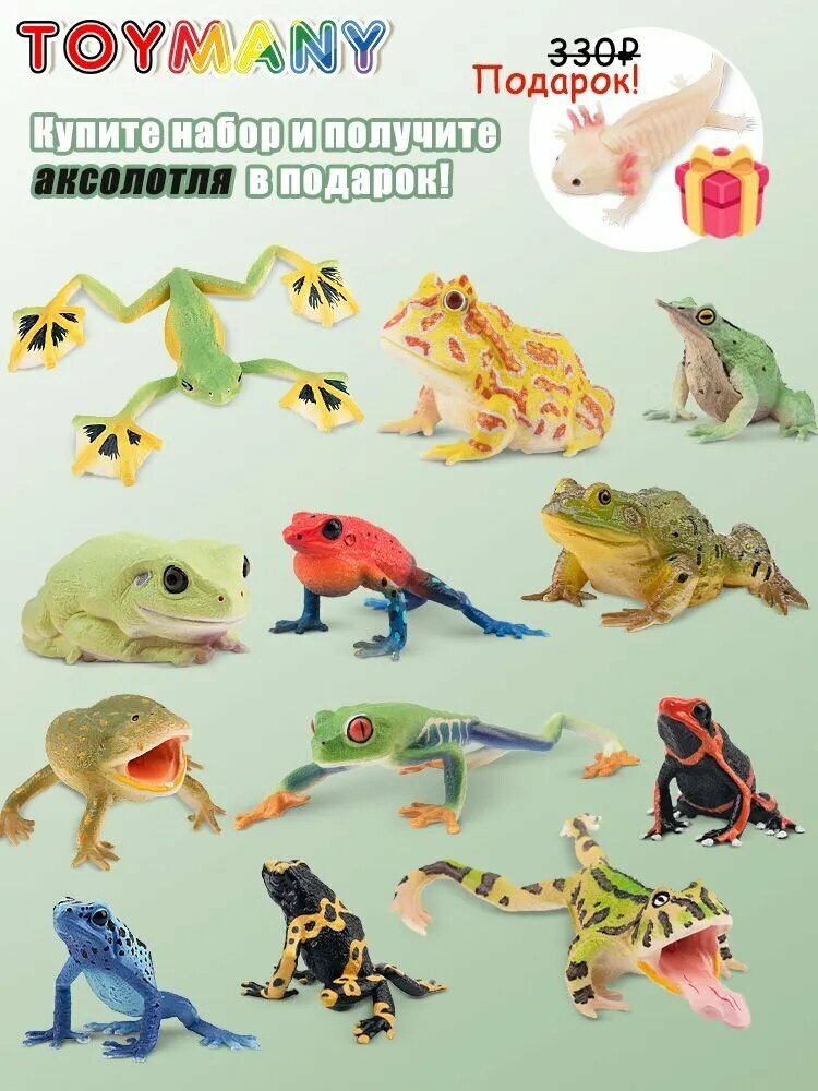 Toymany Набор фигурок животных, фигурки лягушек для детей, 12 шт, Коллекционные игрушки и подарок