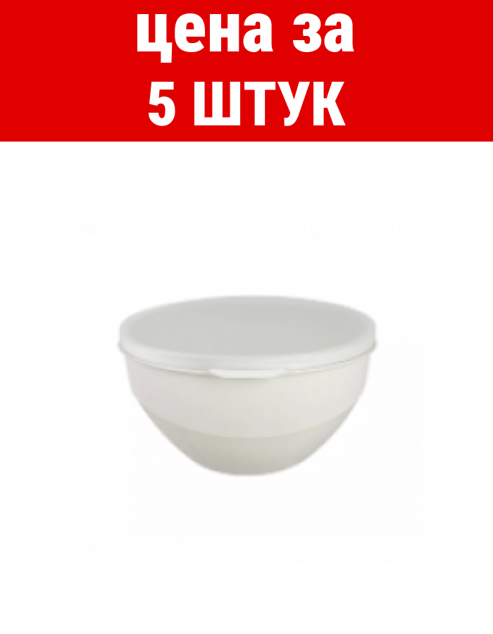 Комплект 5 шт, миска 1Л С крышкой GRANITE белый ПБ