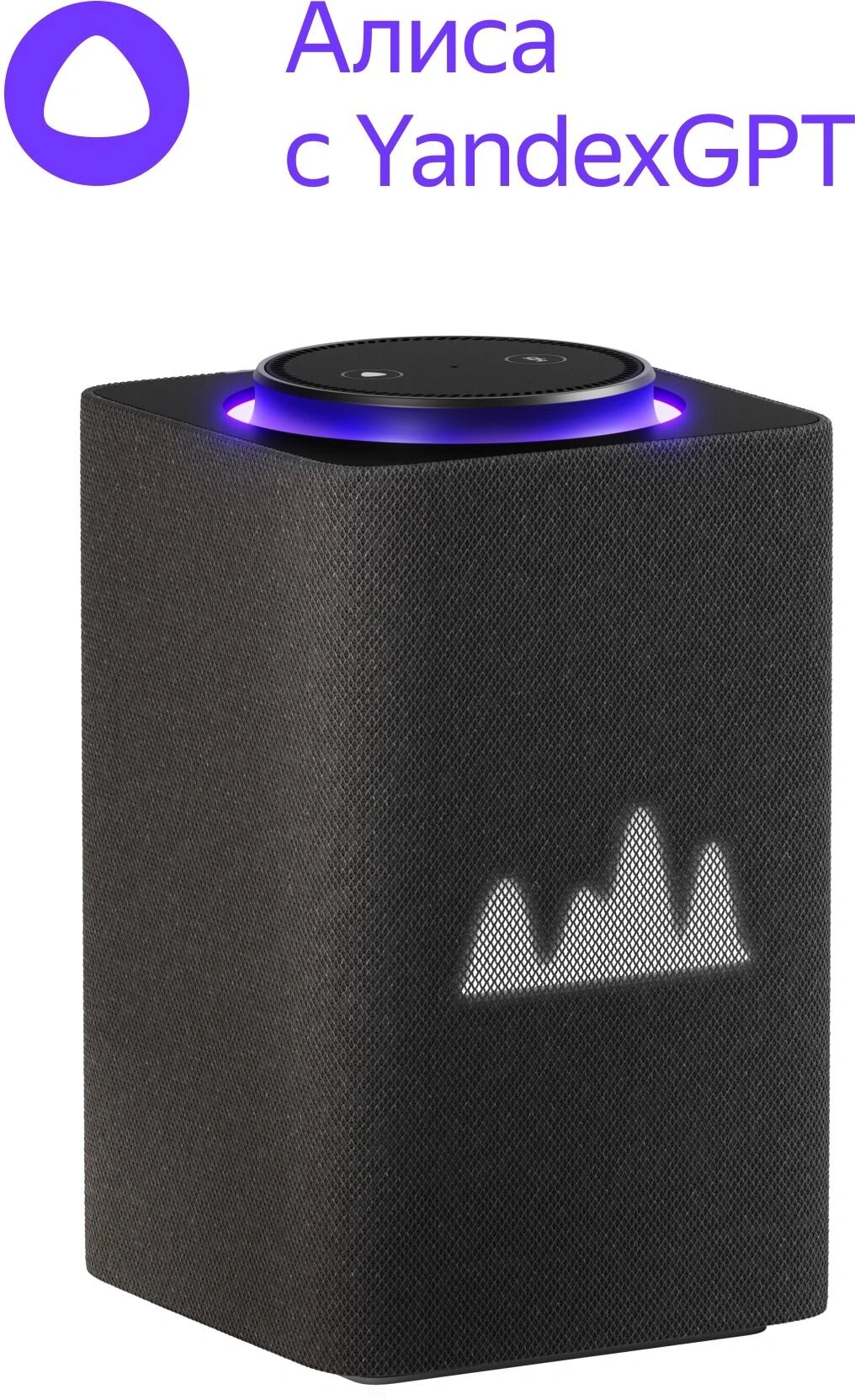 Умная колонка Яндекс Станция Макс Zigbee (YNDX-00053K)