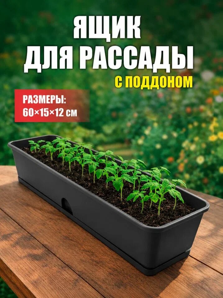 Ящик для цветов и рассады с поддоном 600*150*120 графитовый, 1 шт.