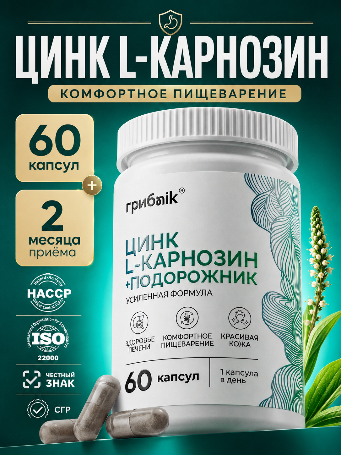Цинк Карнозин ( Цинк L-карнозин Гастро ) + подорожник экстракт, 60 капсул, грибnik