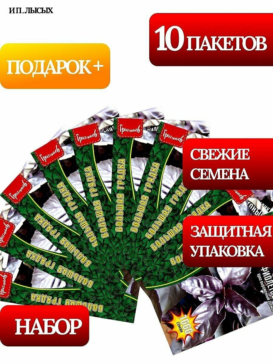 Семена Базилик "Фиолетовый"