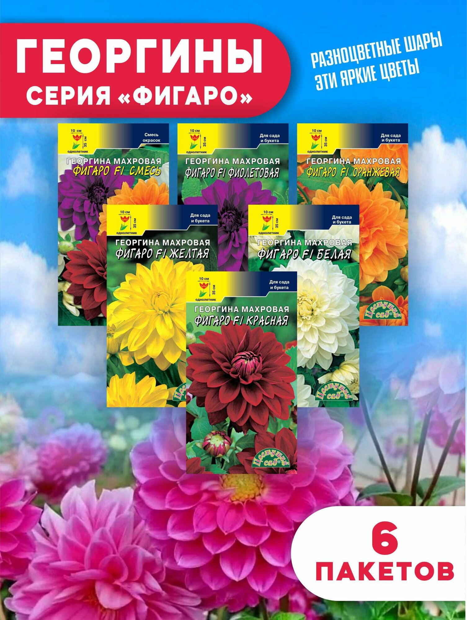 Георгина Махровая серии Фигаро 6 пакетов