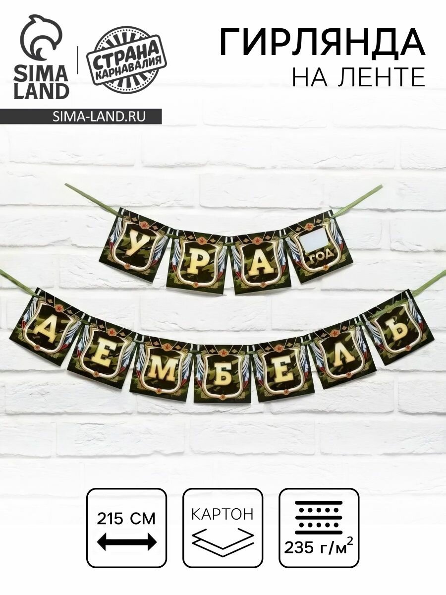 Гирлянда-растяжка на ленте для праздника Страна Карнавалия "Дембель", длина 215 см.