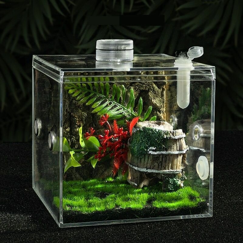 Террариум для пауков с щипцами-капельницами, клетка для улиток, вольер для сверчков, среда обитания древесных тарантулов