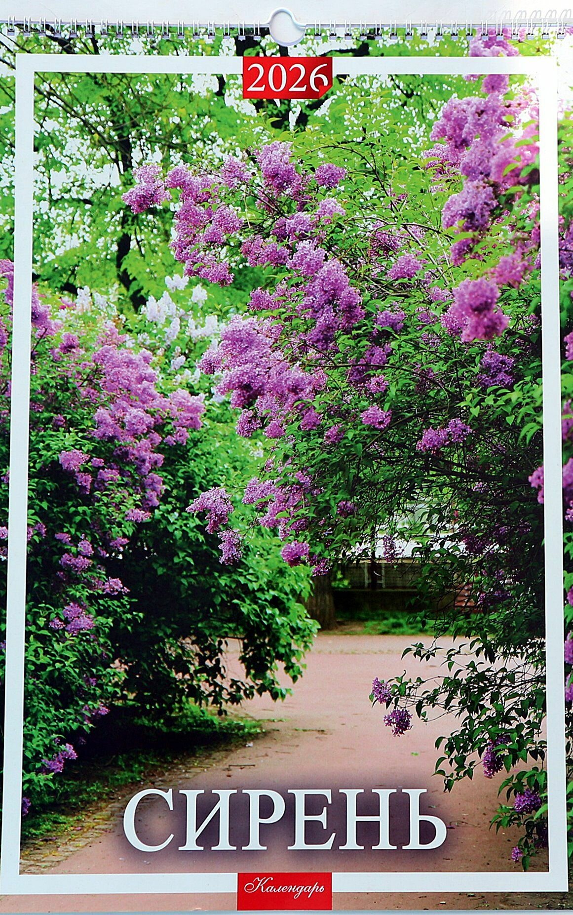 Календарь Сирень на спирали А3 2026 год,32*48 см