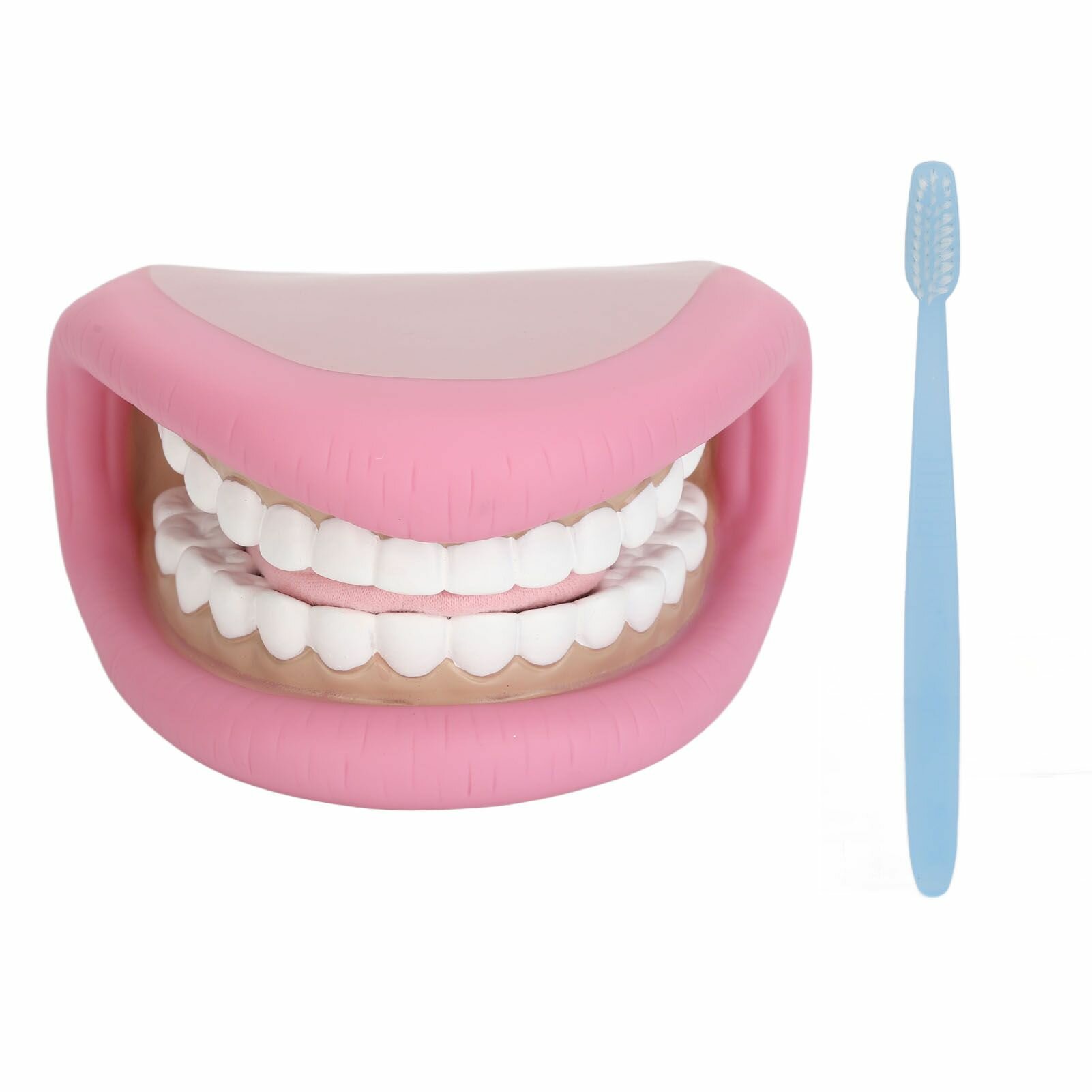 Детский логопедический тренажер для языка с 28 зубами и зубной щеткой для раннего развития речи