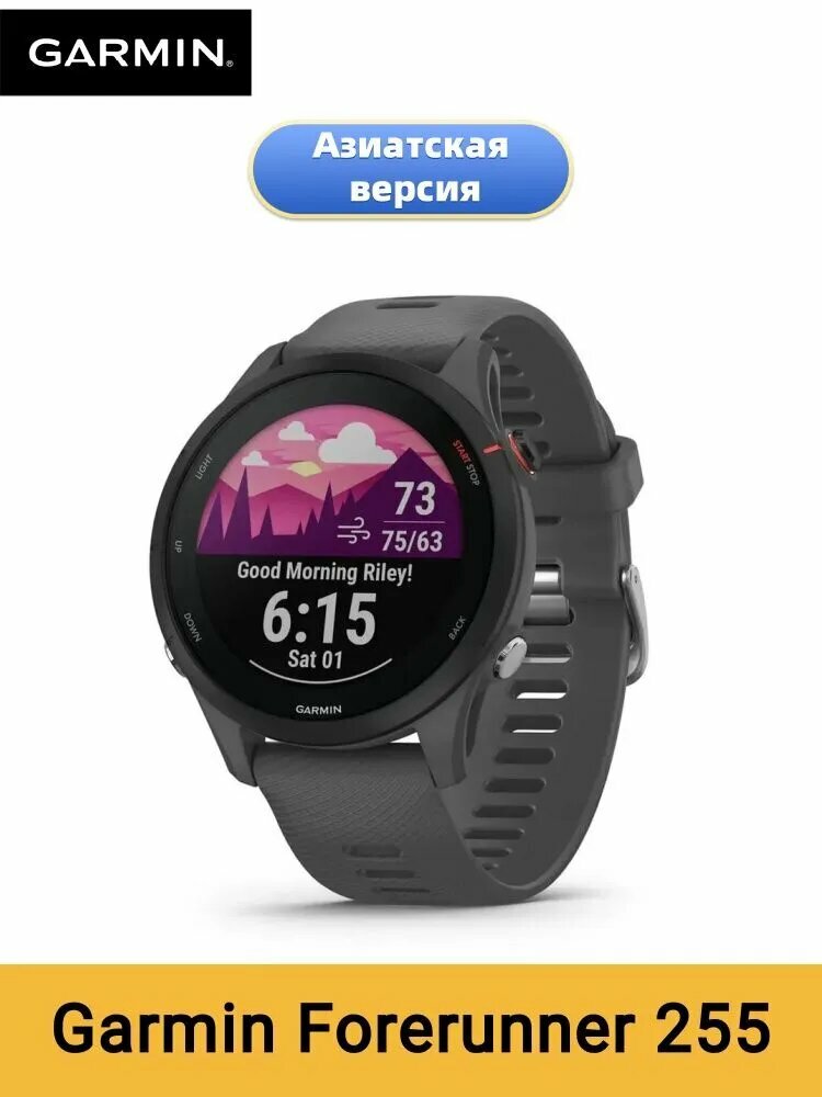 Garmin Умные часы Forerunner® 255, 46mm, Slate Grey