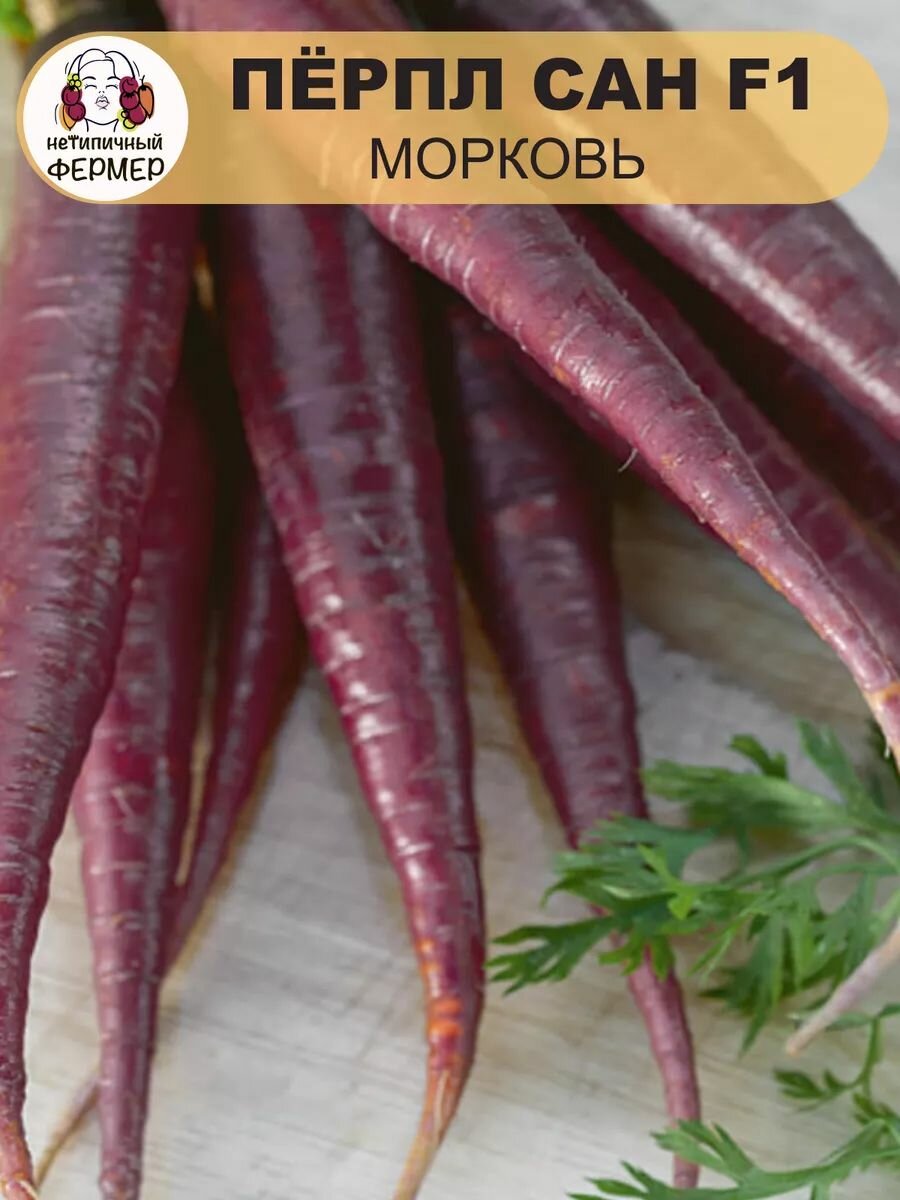 Семена моркови Нетипичный фермер "Перпл Сан" F1, однолетние, 0,5 г