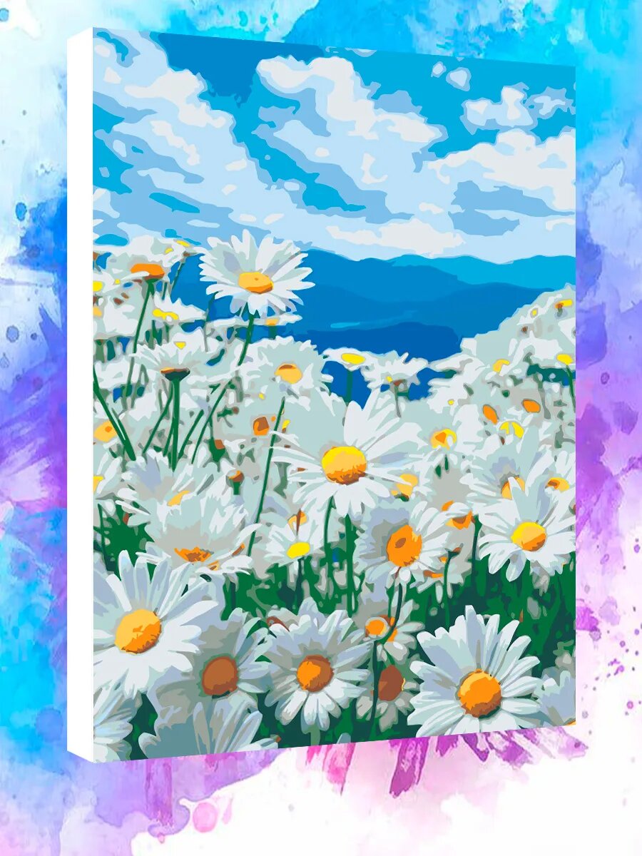 Картина по номерам Ромашки Цветы Природа