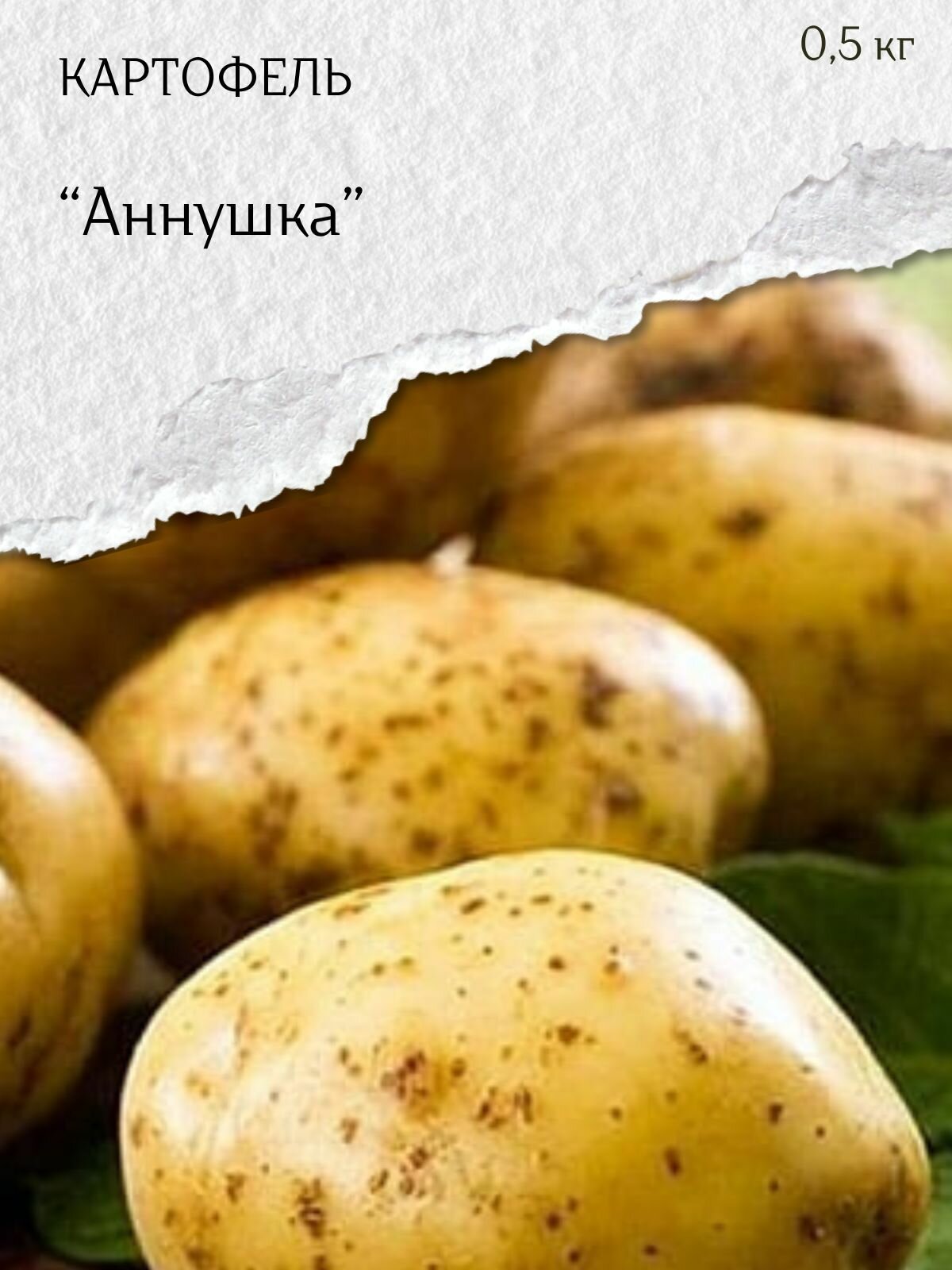 Картофель семенной белый Аннушка клубни на посадку 500 гр.