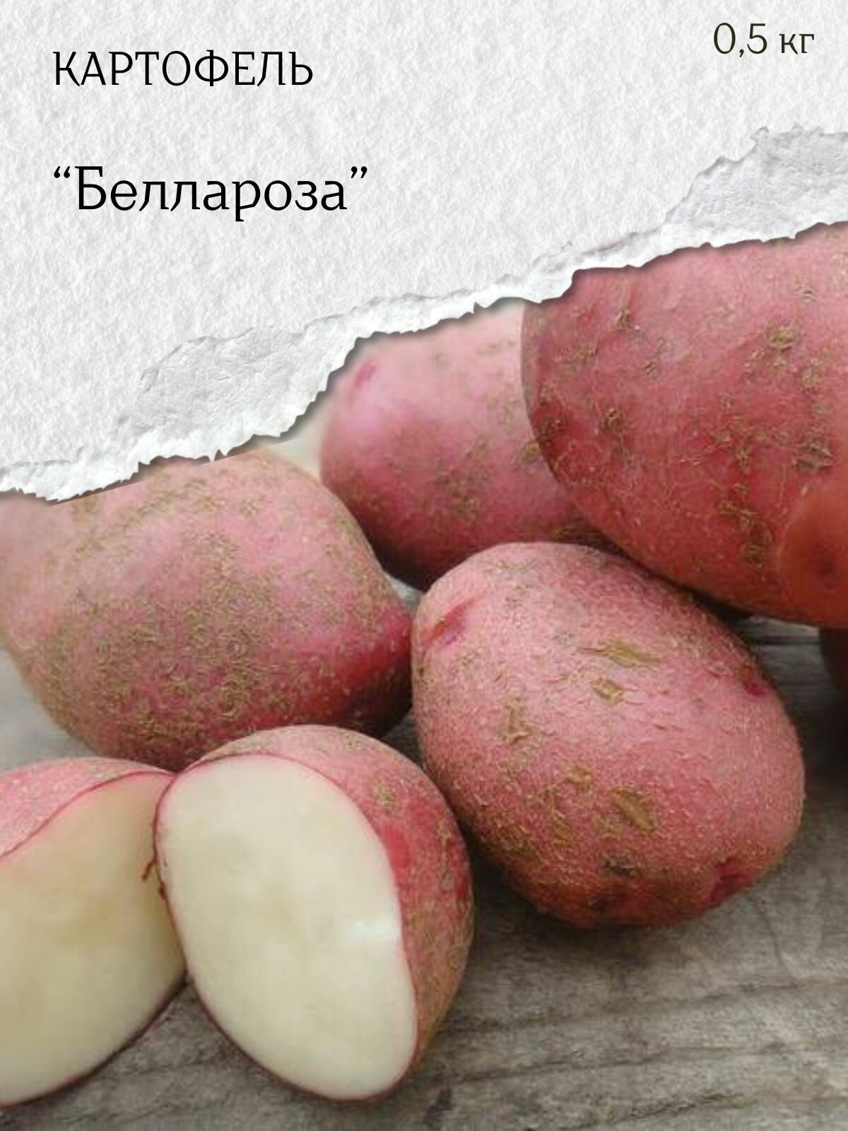 Картофель семенной красный Беллароза клубни на посадку 500 гр.