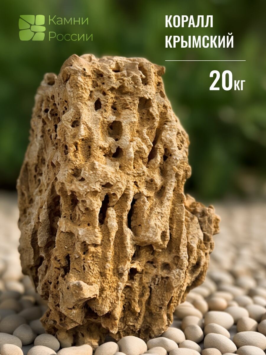 Крымский коралл (меотис), 20кг