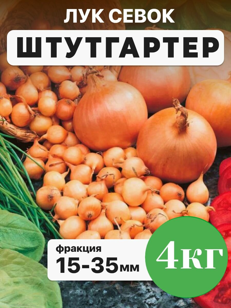 Лук севок для посадки Штутгартер Ризен 4кг