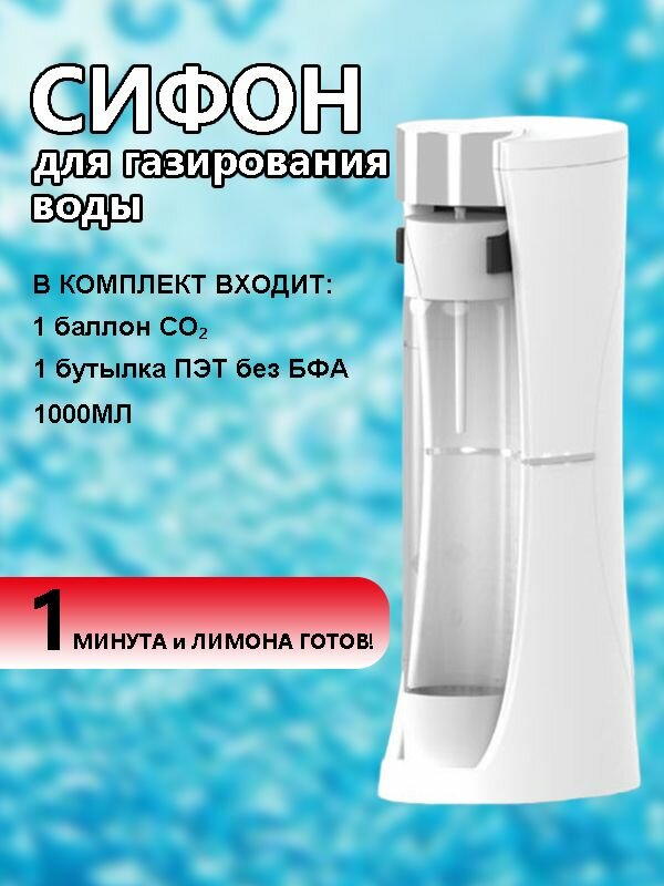Сифон
