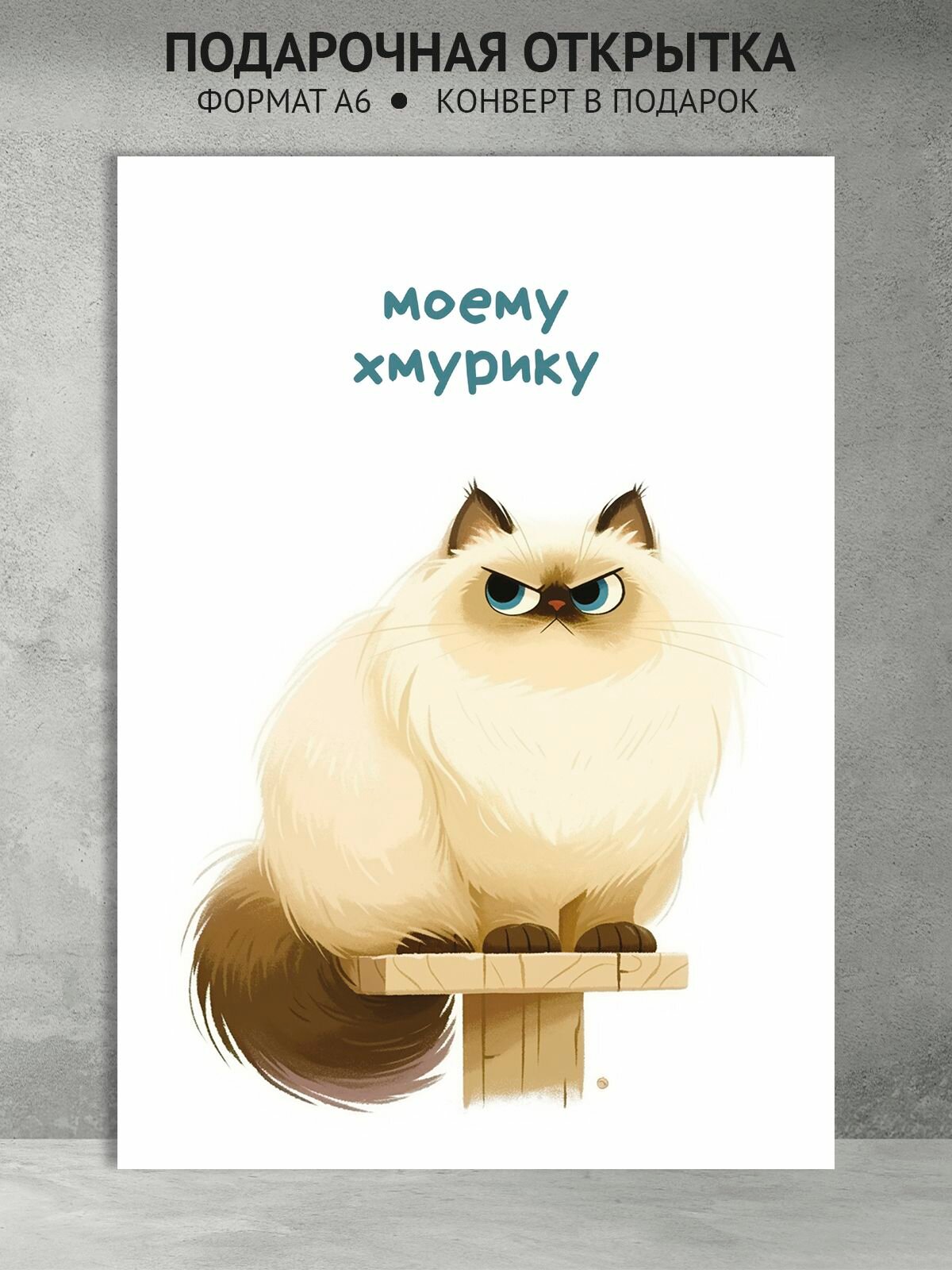 Подарочная открытка со смешной иллюстрацией персидского кота "Моему хмурику" с днем рождения, с юбилеем, без повода