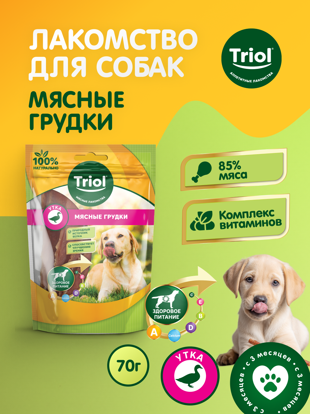 Лакомства для собак Triol «Мясные грудки из утки», с витаминами, 70г