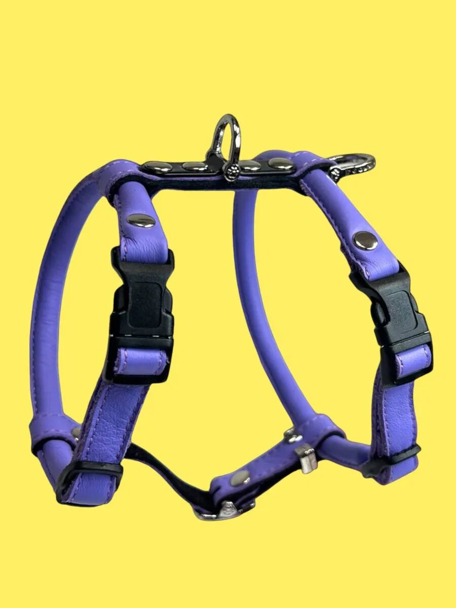 Шлейка Dogbond круглая для шпица из кожи