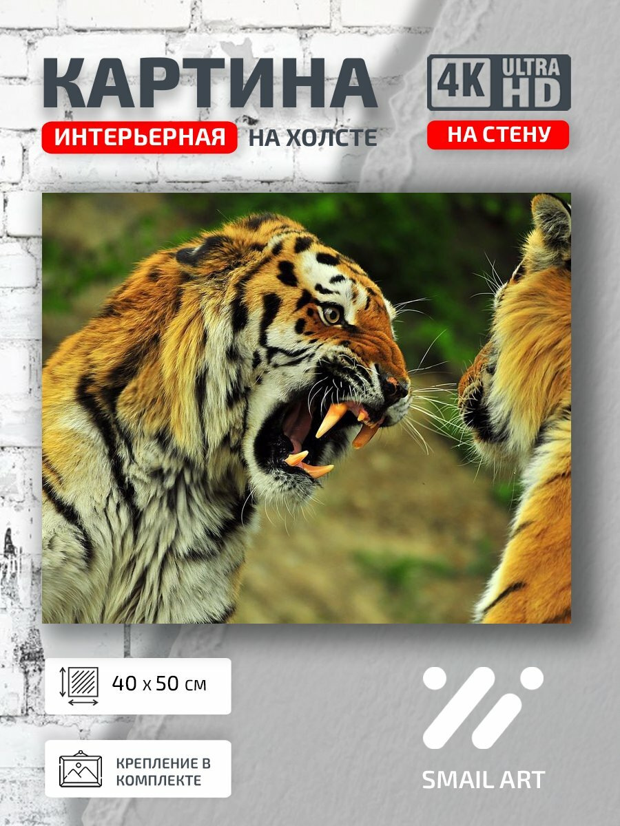 Картина на холсте интерьерная 40 на 50 на стену Клыки Animal для кабинета animal style