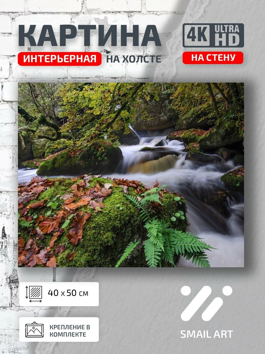 Картина на холсте интерьерная 40 на 50 на стену деревo камни для спальни пейзаж