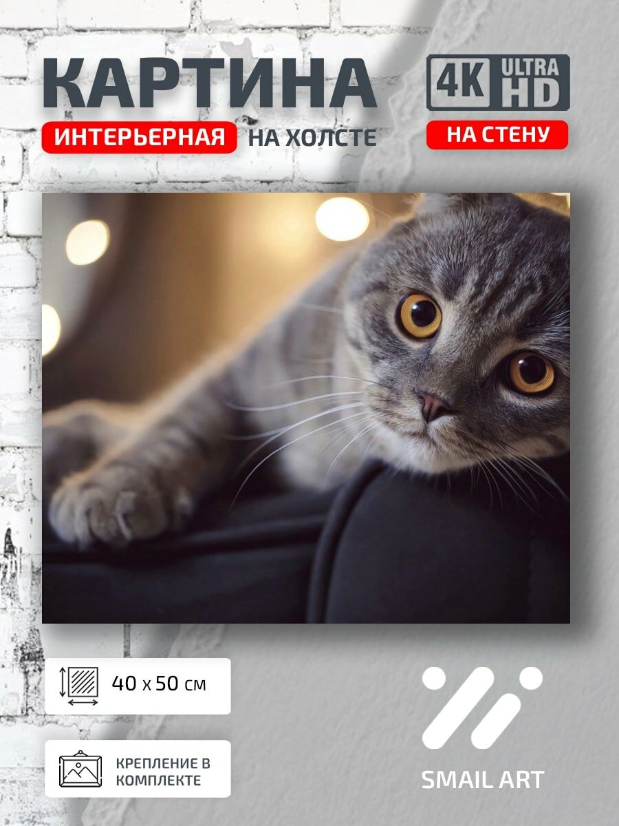 Картина на холсте интерьерная 40 на 50 на стену Животные кот для студии атмосфера