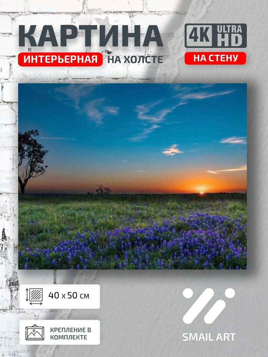 Картина на холсте интерьерная 40 на 50 на стену Пейзаж поляна для офиса атмосфера