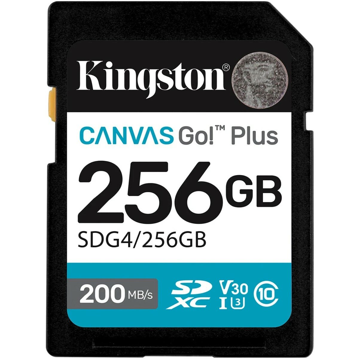Карта памяти Kingston SDG4 256 ГБ