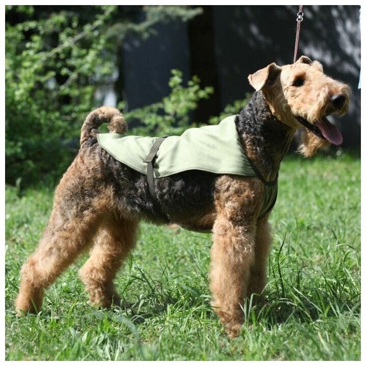 Охлаждающая Попона OSSO для Собак, для Жаркой Погоды, Полиэстер, Размер 25