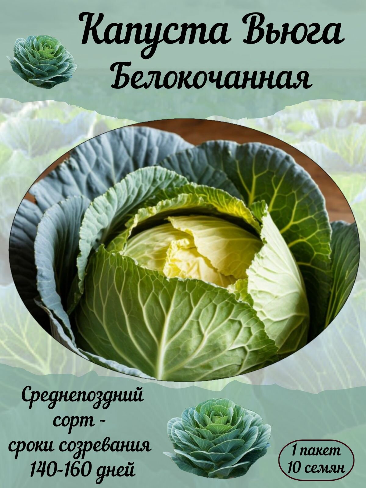 Капуста Вьюга Белокочанная, 10 шт, 15 гр.