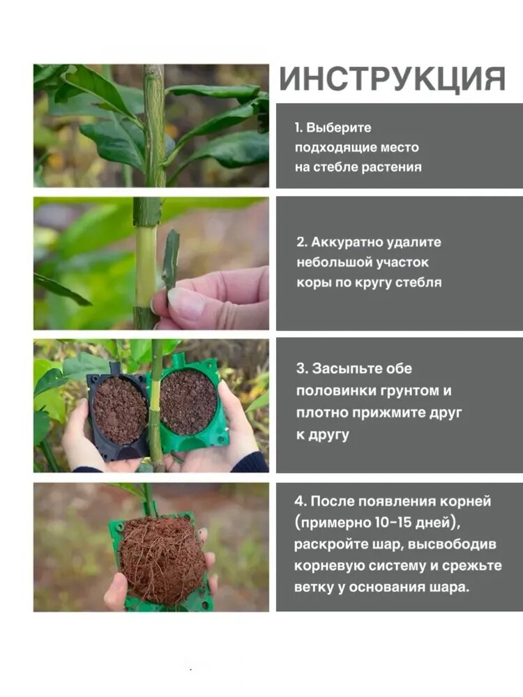 Набор для выращивания — фото 1