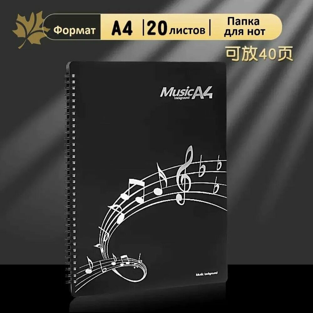 Папка с файлами A4 (21 × 29.7 см), 1 шт.