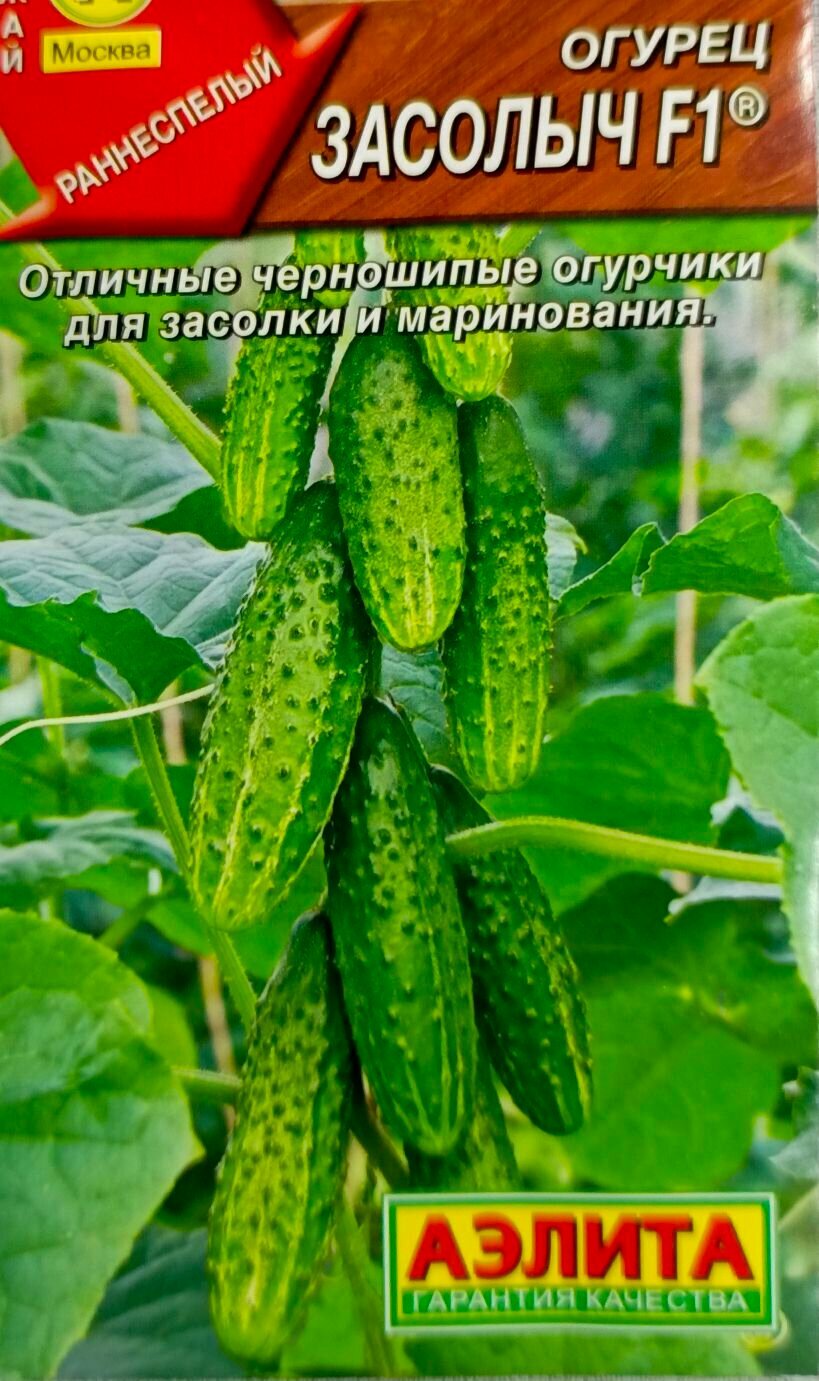 Семена огурец Засолыч - раннеспелый, самоопыляемый, пучковый гибрид. Аэлита.