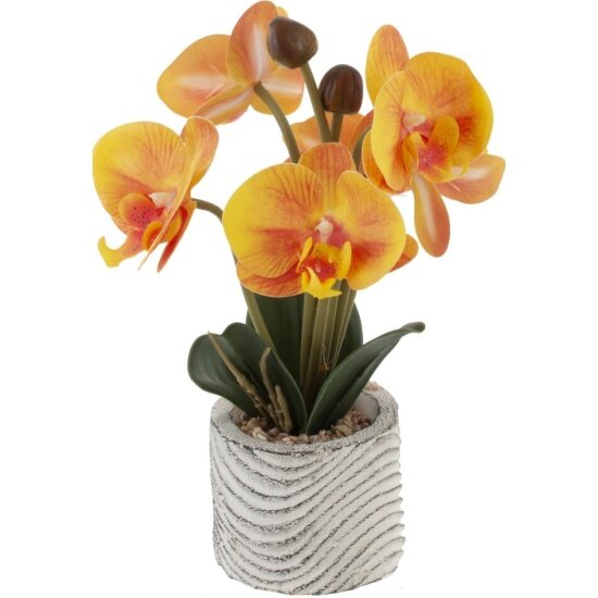 Цветочная композиция Remeco Collection "Орхидея" 14х13х29 см