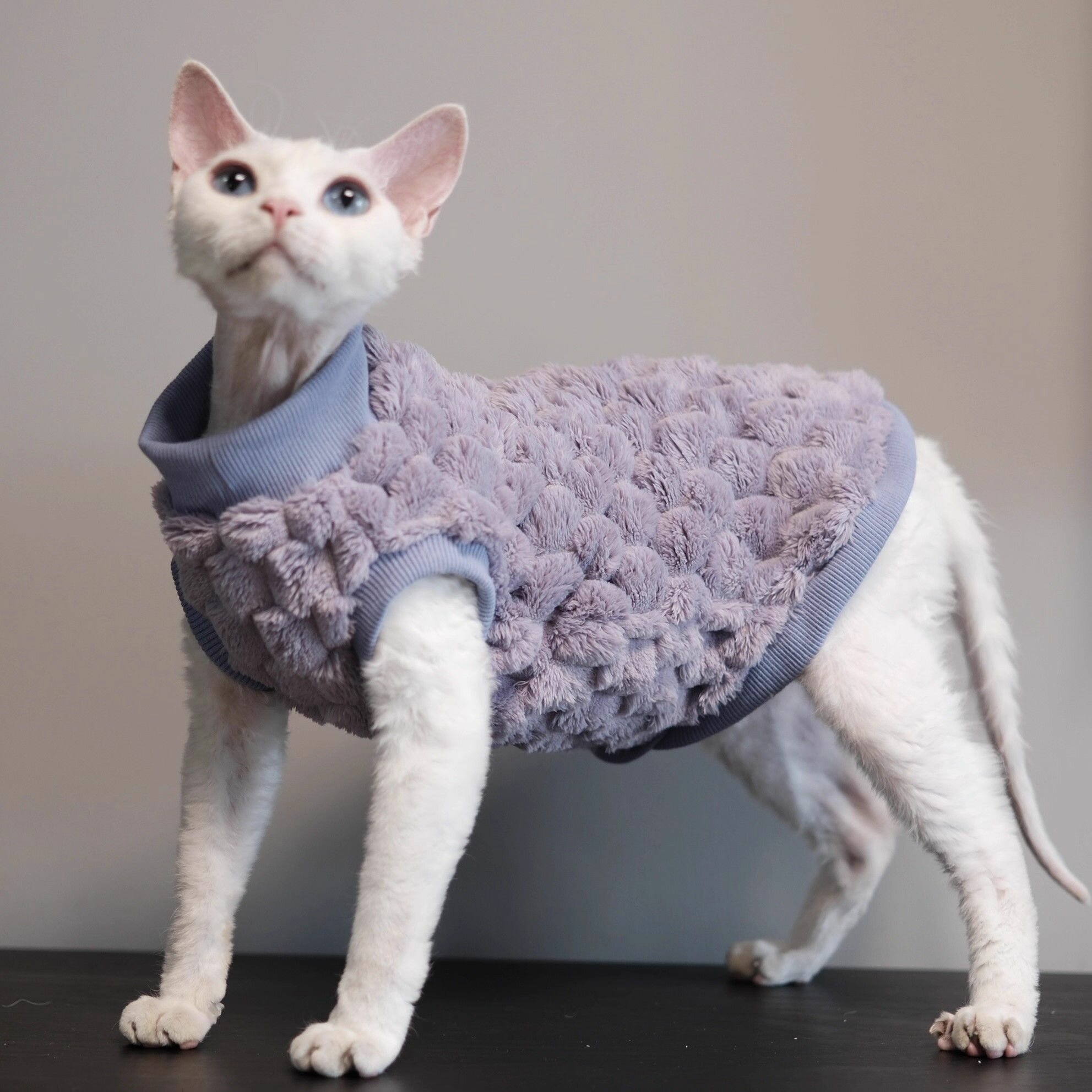Зимняя теплая одежда для безволосых кошек, свитер для кошек-сфинксов