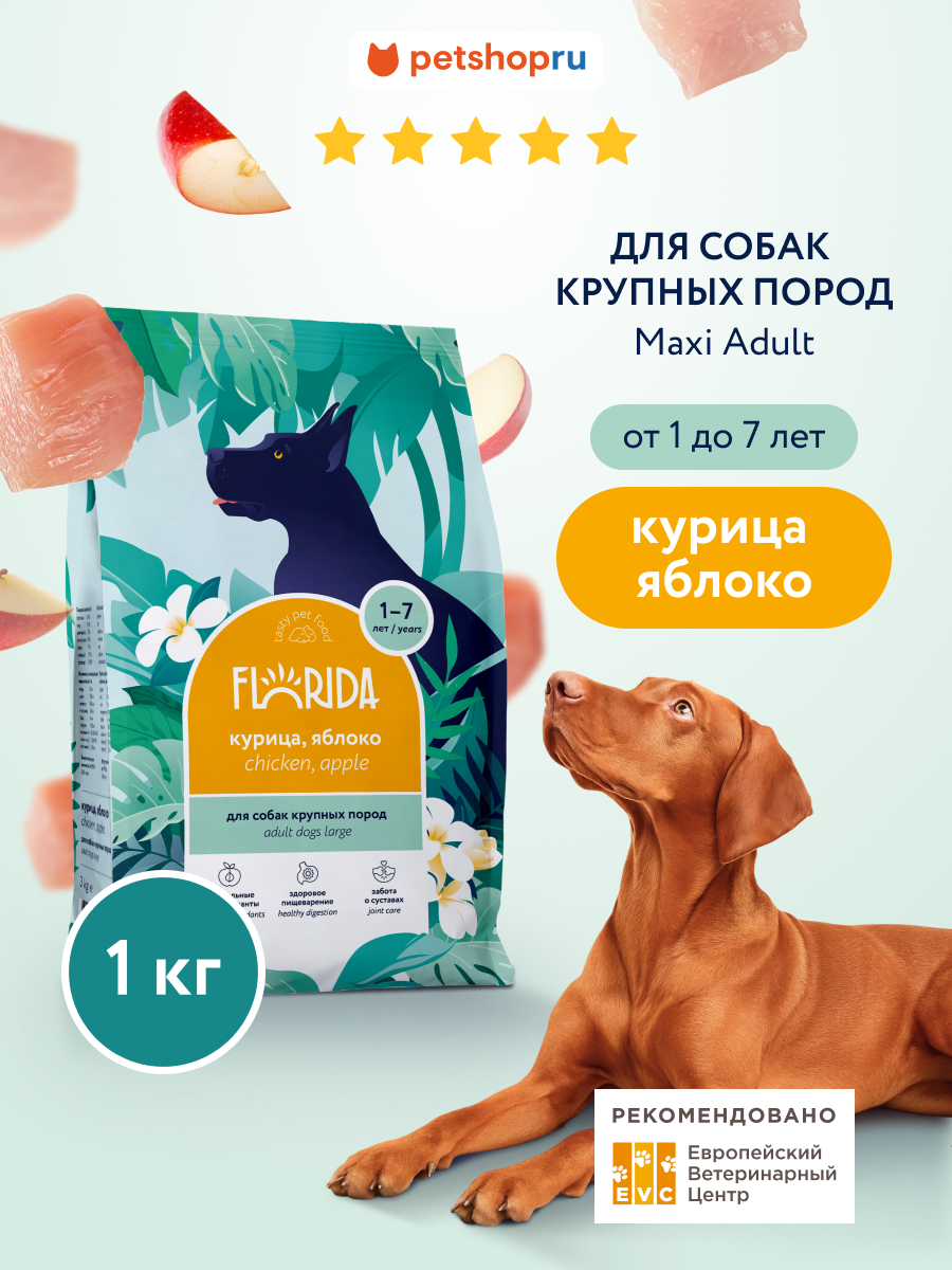 FLORIDA Сухой корм для взрослых собак крупных пород с курицей и яблоком, Maxi Adult Chicken, 1 кг