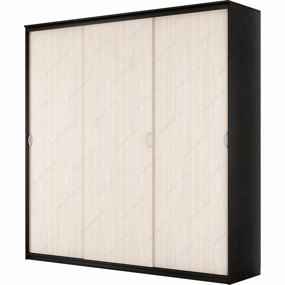 Шкаф-купе Фортуна К Миллениум 3 А5