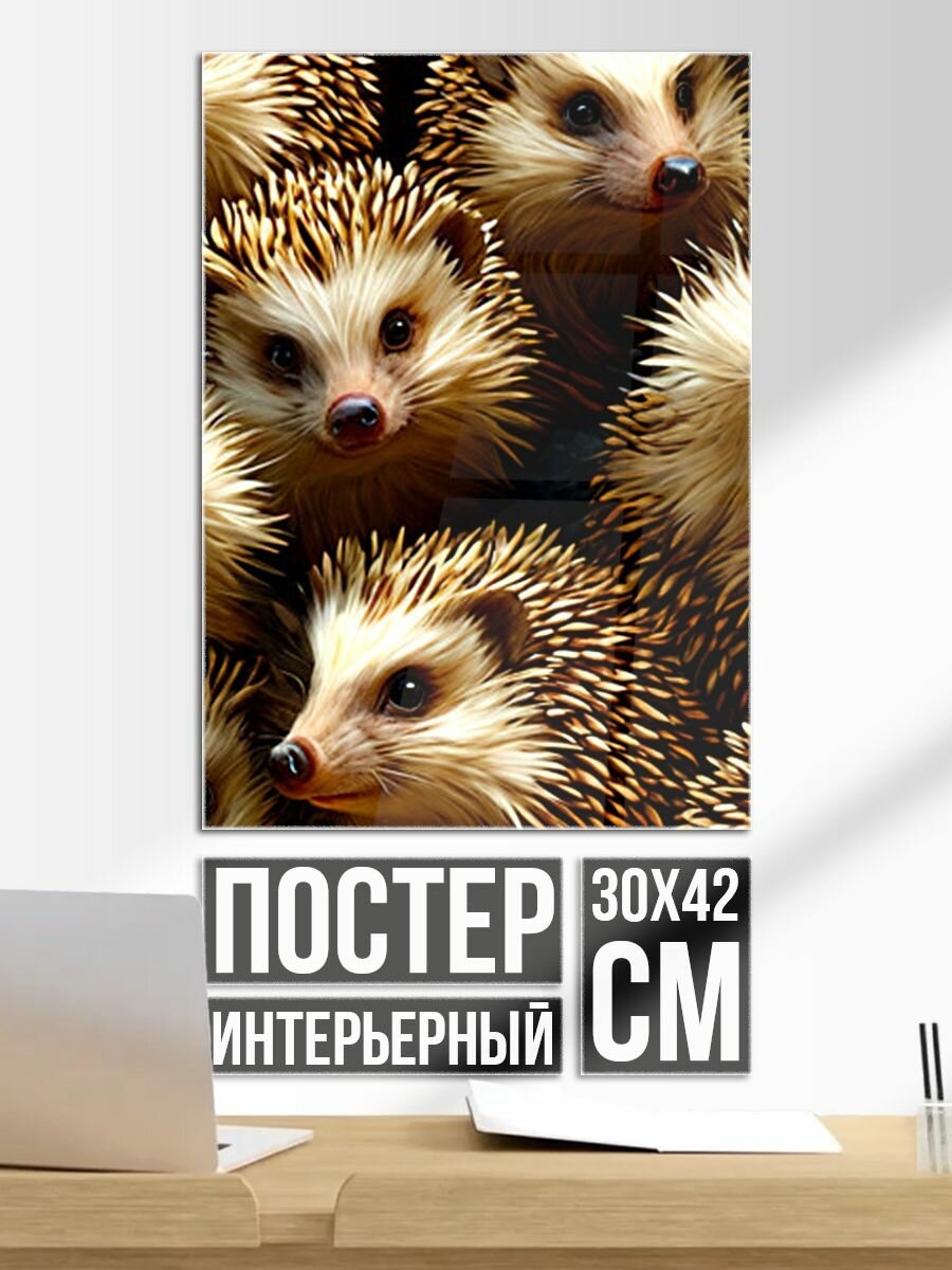 Постер на стену Ежи