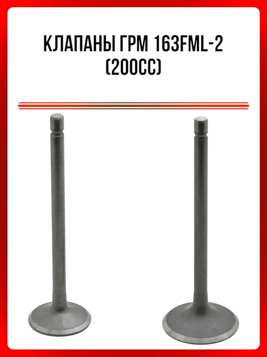Клапаны ГРМ 163FML-2 (200СС) (компл.)(впускной: длина 90 мм, D юбки 32 мм, d стержня 5,5 мм; выпускной: длина 89 мм, D юбки 27 мм, d стержня 5,5 мм)